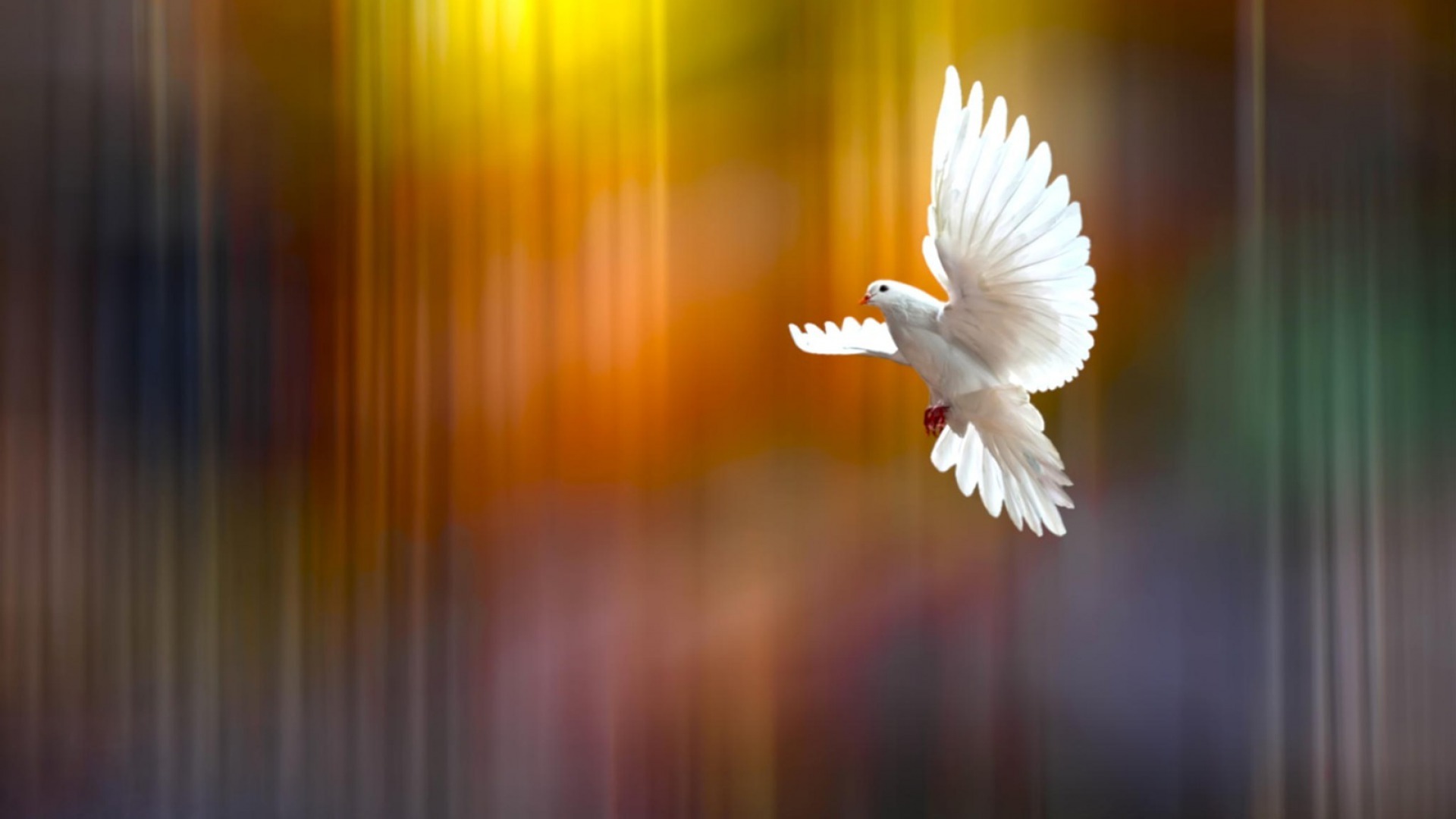 Scorpions - White Dove • Кефче